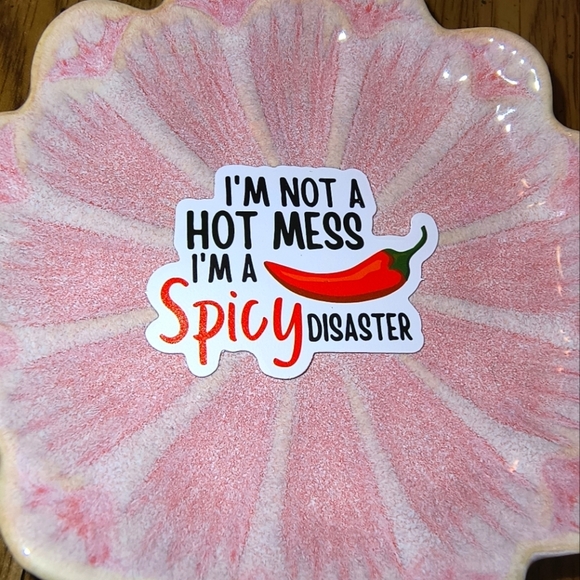 otaku ramen | Accessories | 5 Spicy Hot Mess Funny Vinyl Sticker Bumper ...